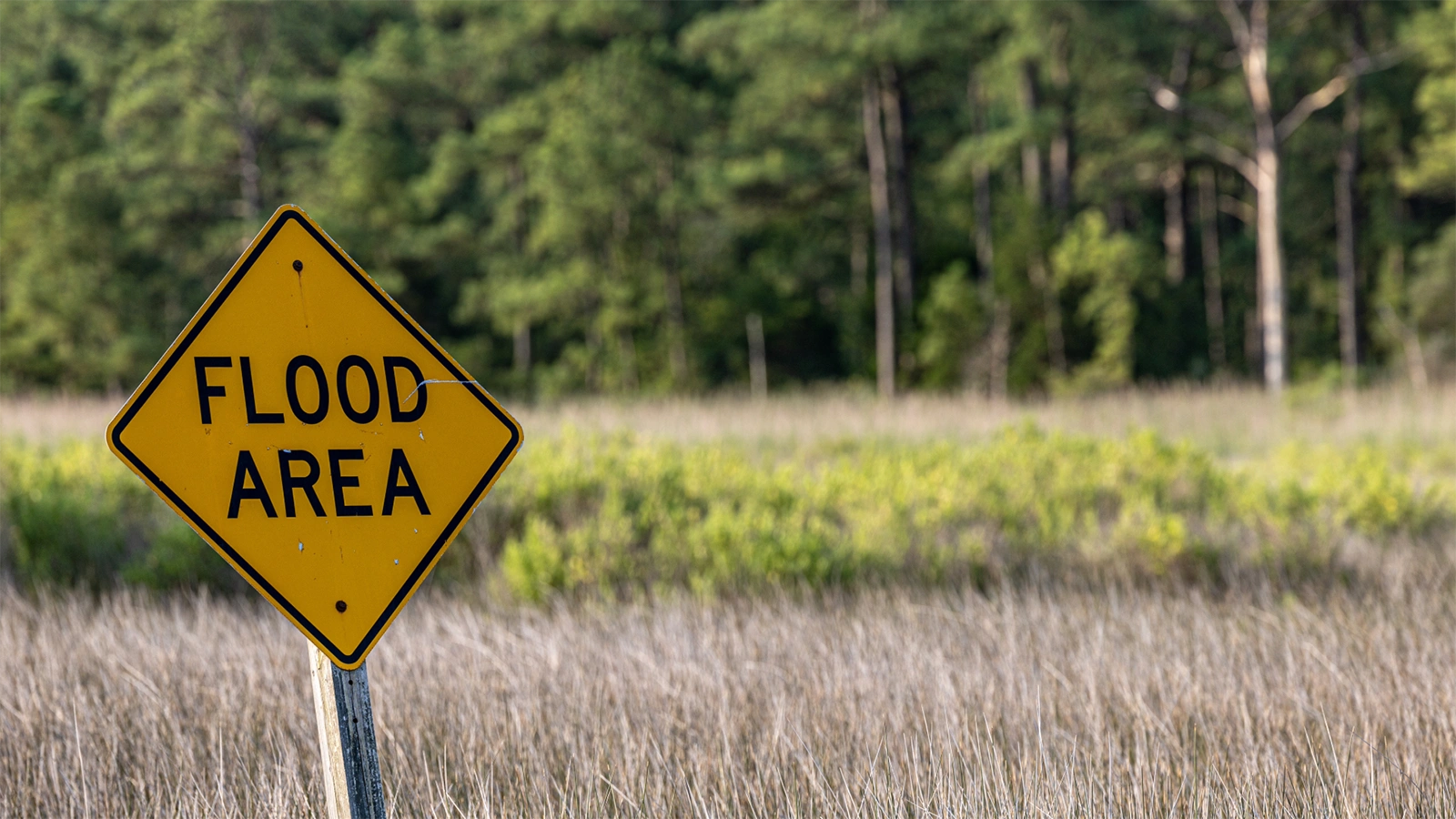 Sacramento Flood Zones Guide: Protect Your Home from Water Damage